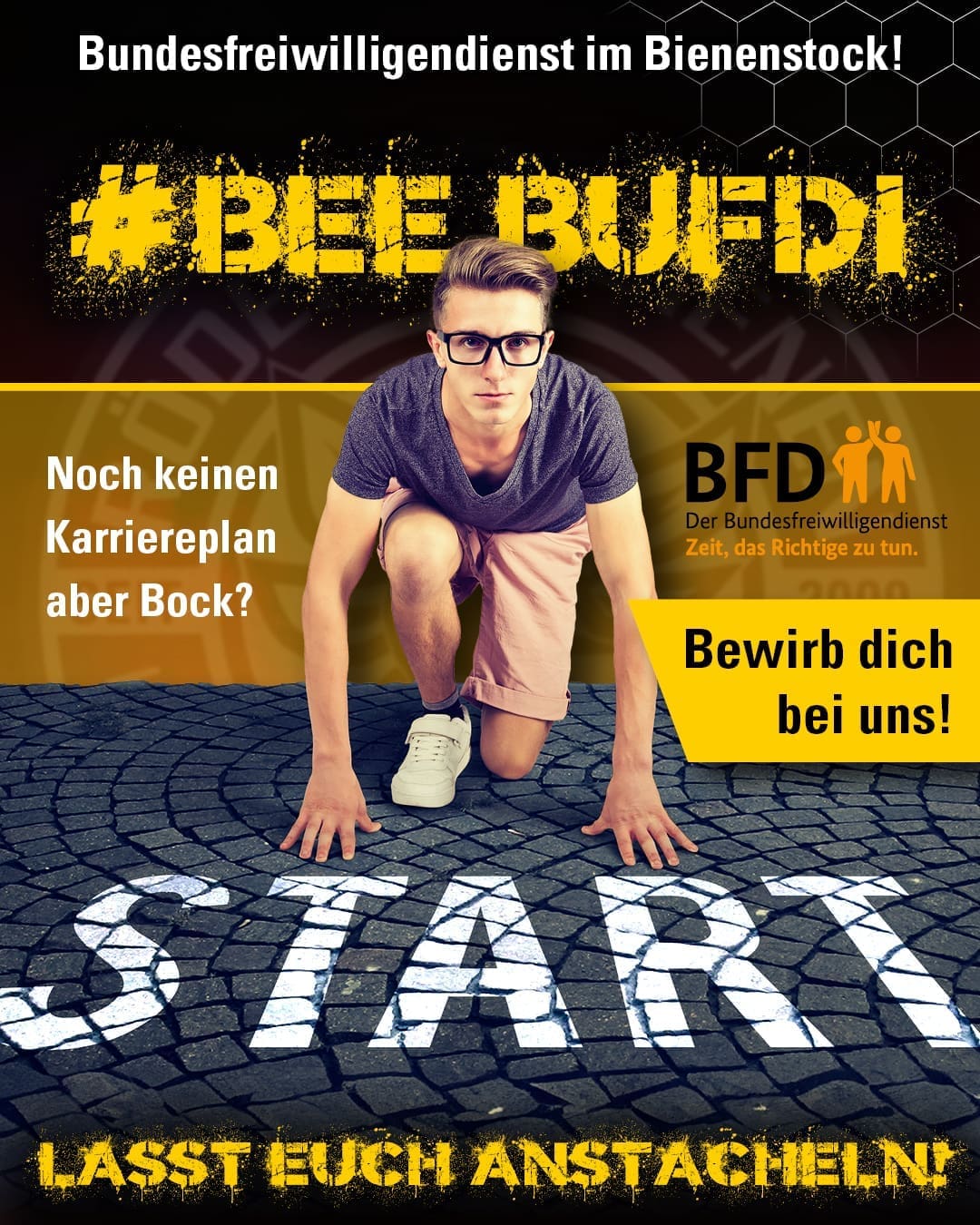 Bundesfreiwilligendienst (BuFDi) | Die Rödertalbienen